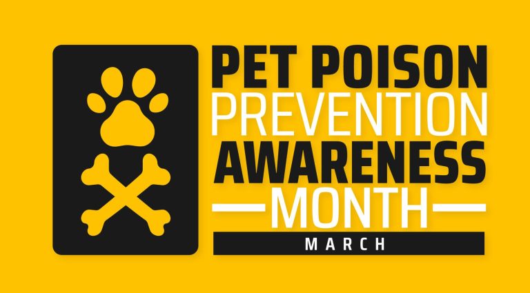 March Pet Holiday Guide | 2026 - Astro Loyalty