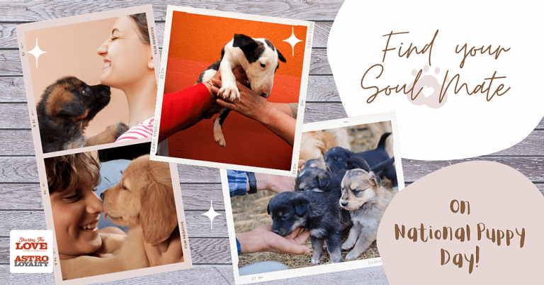 March Pet Holiday Guide | 2026 - Astro Loyalty