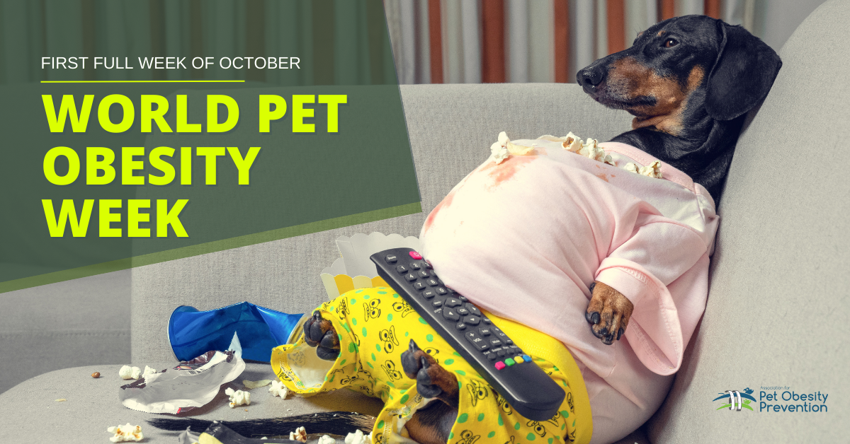October Pet Holiday Guide | 2025 - Astro Loyalty