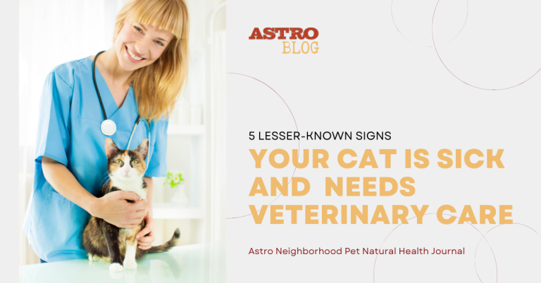 5 Lesser-Known Signs Your Cat Is Sick and Needs Veterinary Care - Astro ...