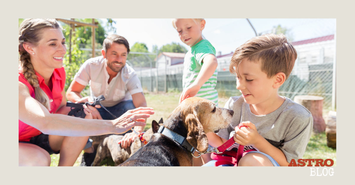 Making the Most of Adopt a Shelter Dog Month - Astro Loyalty