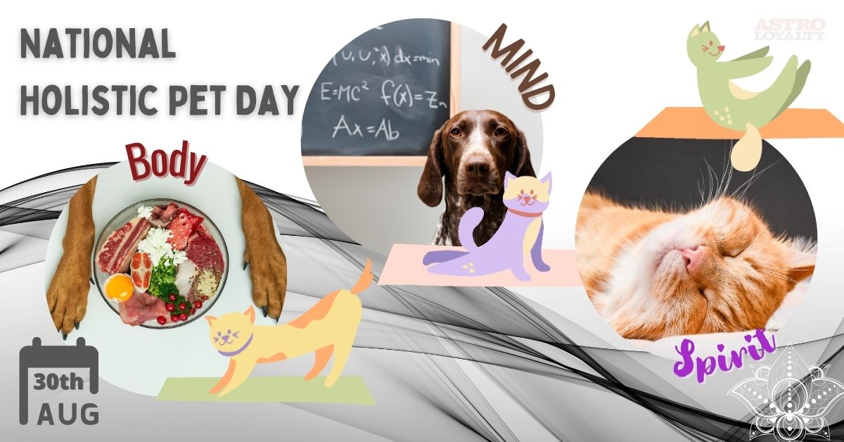 August Pet Holiday Guide: Your Complete Checklist - Astro Loyalty