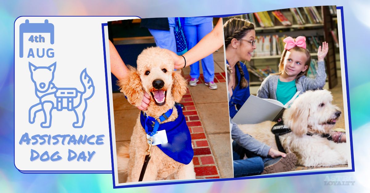 August Pet Holiday Guide: Your Complete Checklist - Astro Loyalty