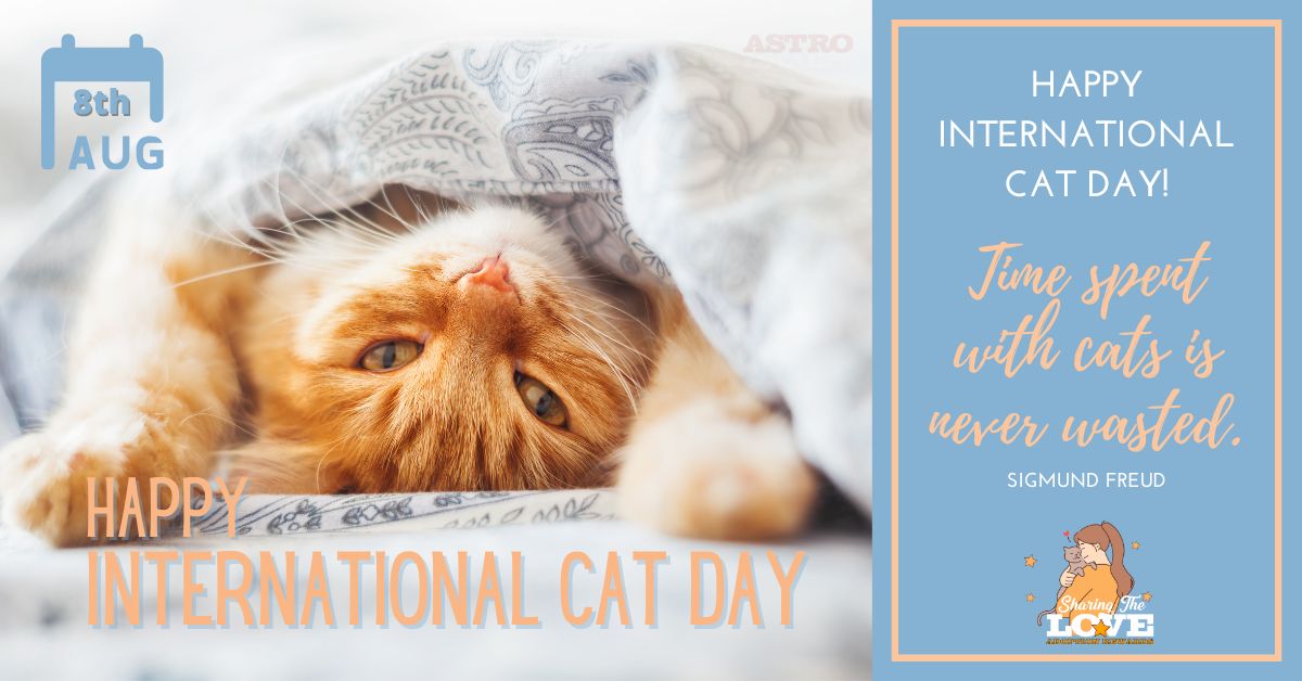 August Pet Holiday Guide: Your Complete Checklist - Astro Loyalty