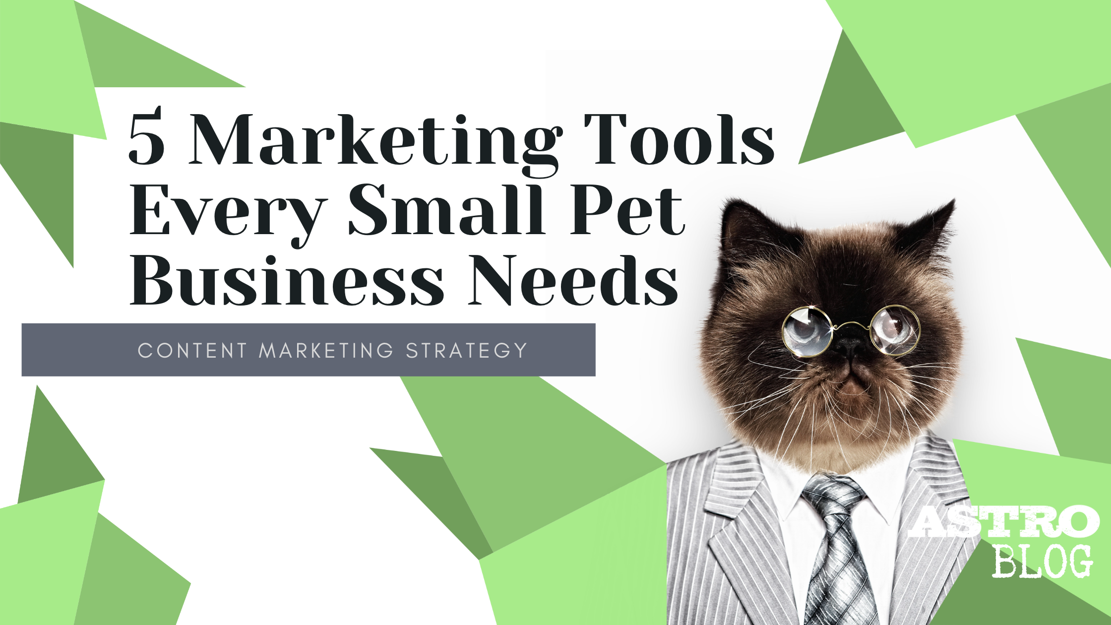 5 Marketing Tools Every Small Pet Business Needs - Astro Loyalty