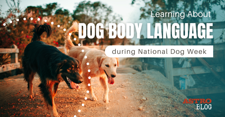 Learning About Dog Body Language During National Dog Week - Astro Loyalty