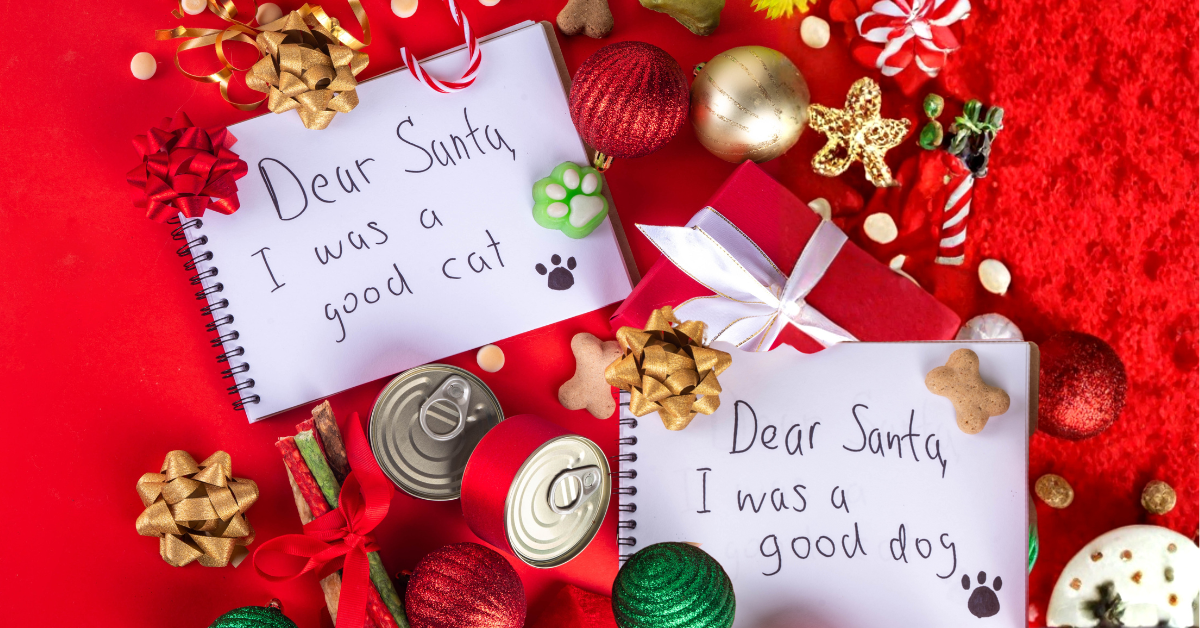 December Pet Holiday Guide: Engage Your Customers - Astro Loyalty