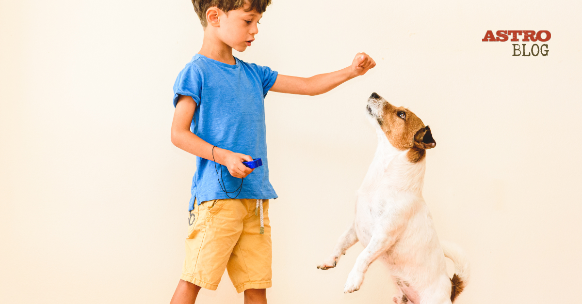 Common Dog Training Methods and Their Pros and Cons - Astro Loyalty