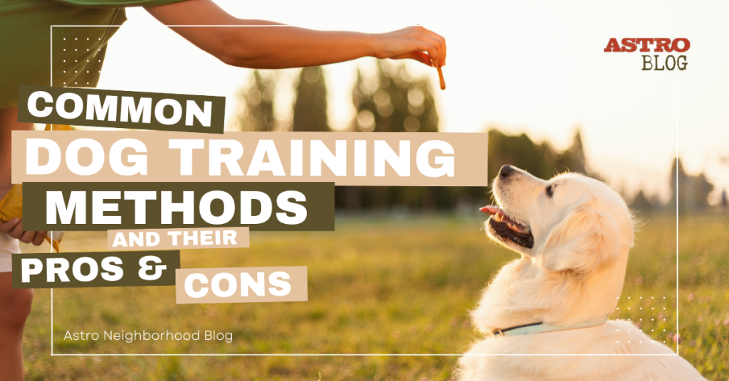 Common Dog Training Methods and Their Pros and Cons - Astro Loyalty