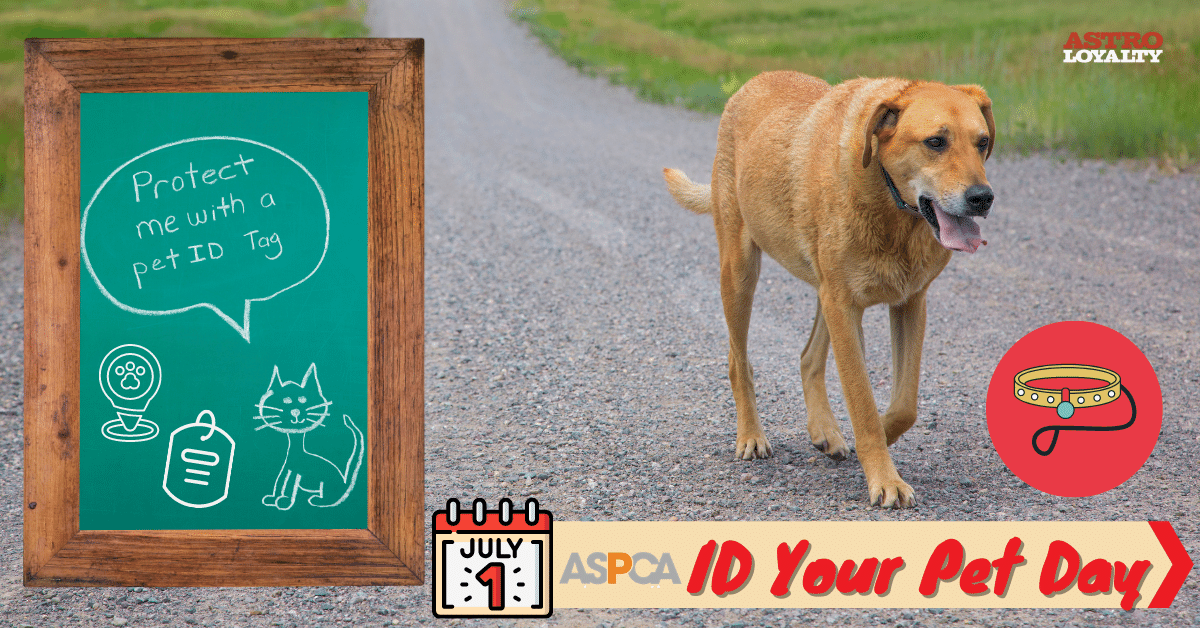 july-pet-holiday-marketing-guide-2025-astro-loyalty