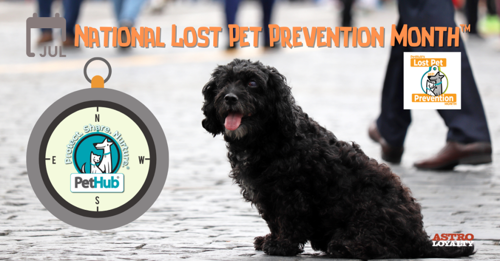 July Pet Holiday Marketing Guide | 2025 - Astro Loyalty
