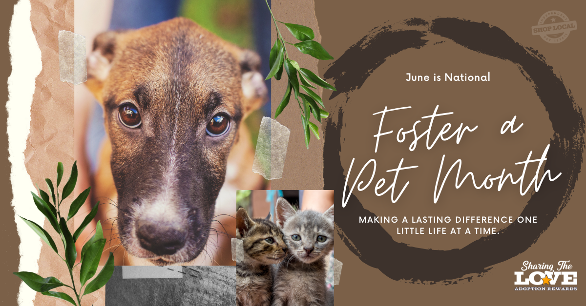 Pet Holiday Guide for June: Celebrate Pets in Your Neighborhood - Astro ...