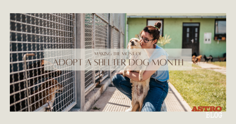 Making the Most of Adopt a Shelter Dog Month - Astro Loyalty