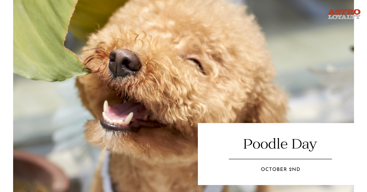 October Pet Holiday Guide | 2025 - Astro Loyalty