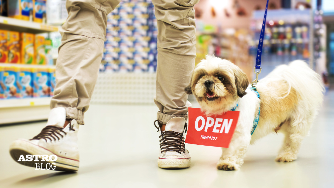 Tips for Starting an Independent Pet Store - Astro Loyalty