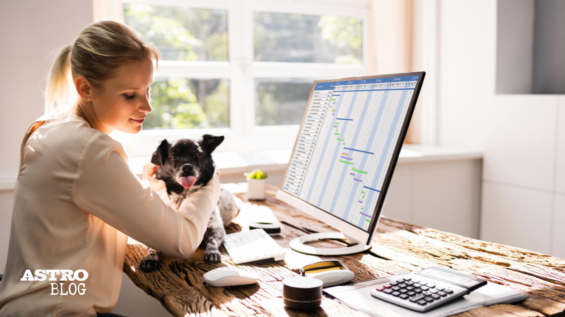 Tips for Starting an Independent Pet Store - Astro Loyalty