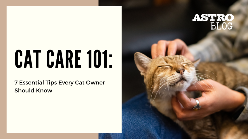 Cat Care 101: 7 Essential Tips Every Cat Owner Should Know - Astro Loyalty